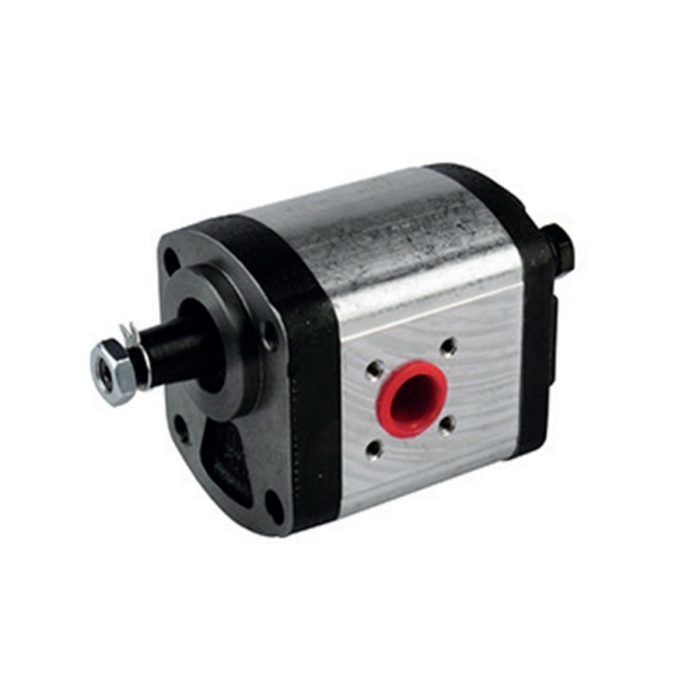 HEMA 1PN 192 CJT3 Hidrolik Pompa