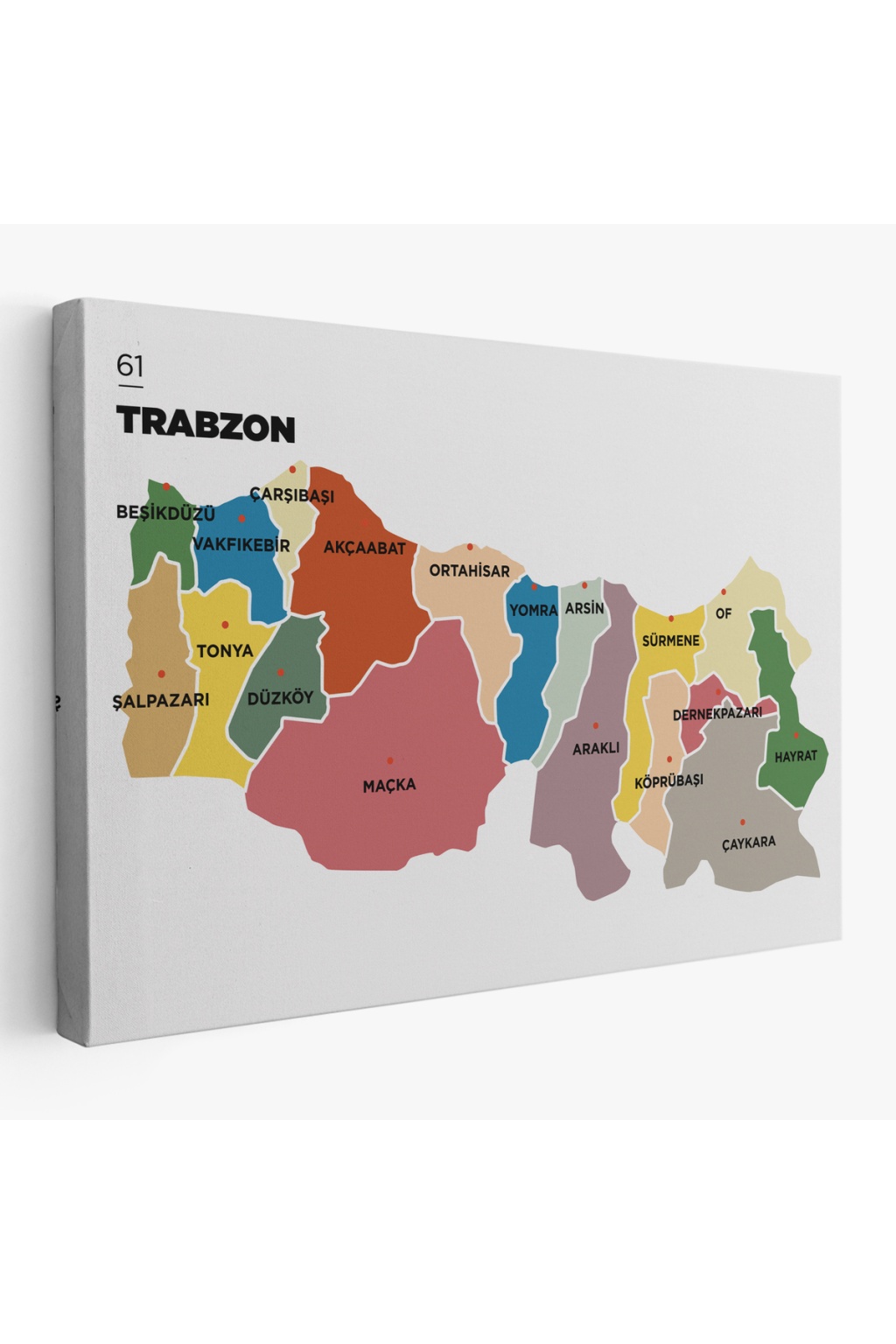 Trabzon İli Ve İlçeler Haritası Dekoratif Kanvas Tablo 1470