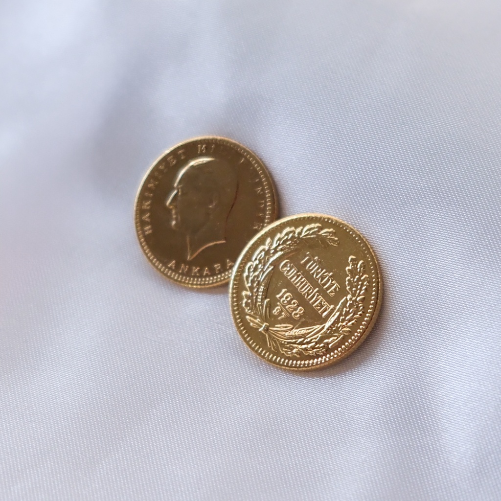 İmitasyon Ata Lira 1923 Tarihli - Sahte Ata lira FerizZ'de