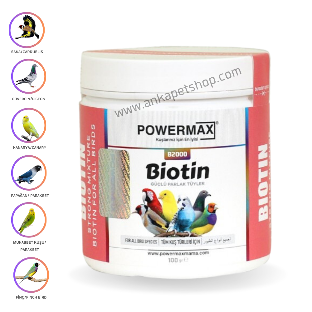 POWERMAX BİOTİN 100G