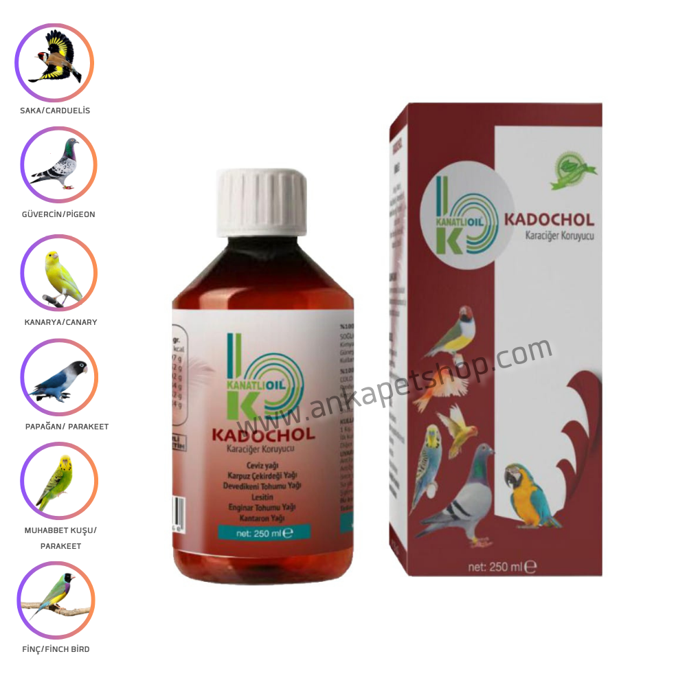 KANATLI OİL KADOCHOL