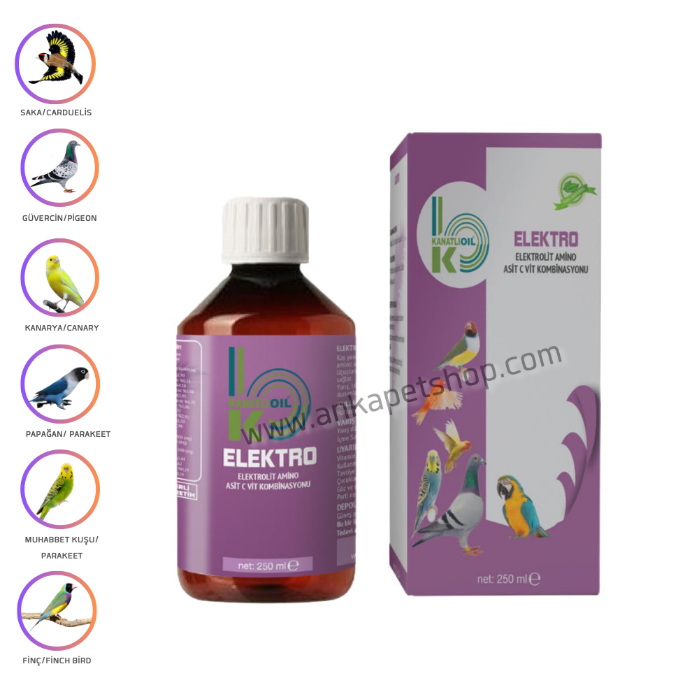 KANATLI OİL ELEKTRO