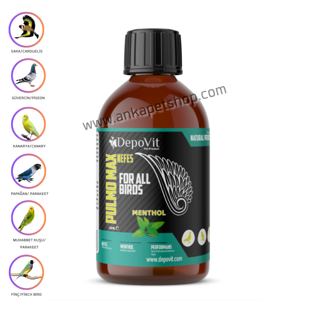 DEPOVİT PULMO MAX NEFES AÇICI 250 ML