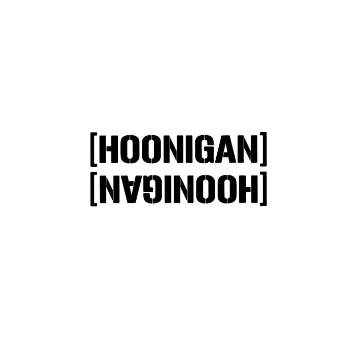 Hoonigan Mini Sticker Etiket Modeli