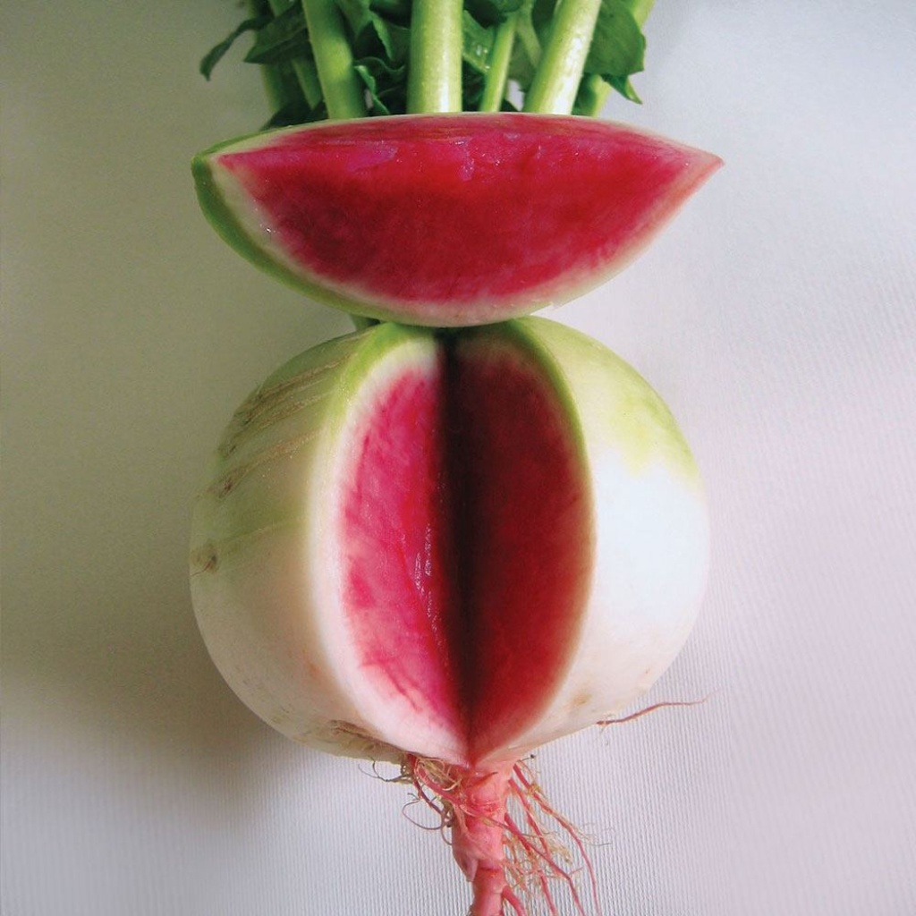 SUNAGRI TURP CIN TURPU