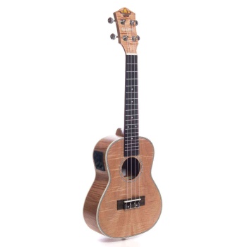 Elektro Ukulele