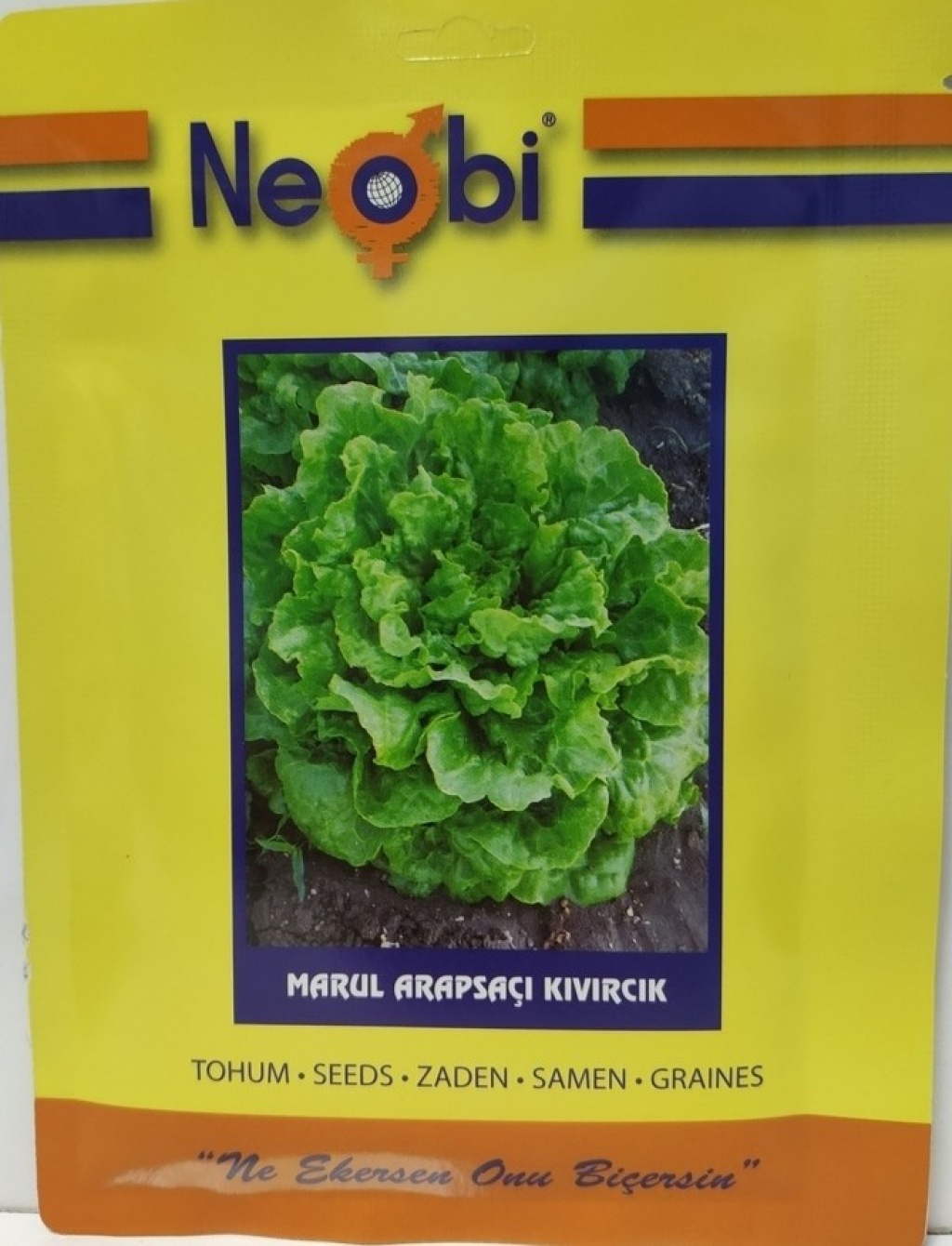 Neobi Marul Arapsaçı Kıvırcık 10gr