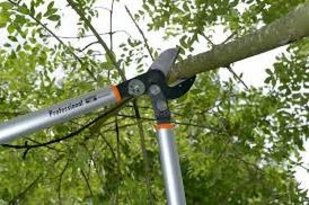 Bahco P173-SL85 Örs Tipi Dal Budama Makası