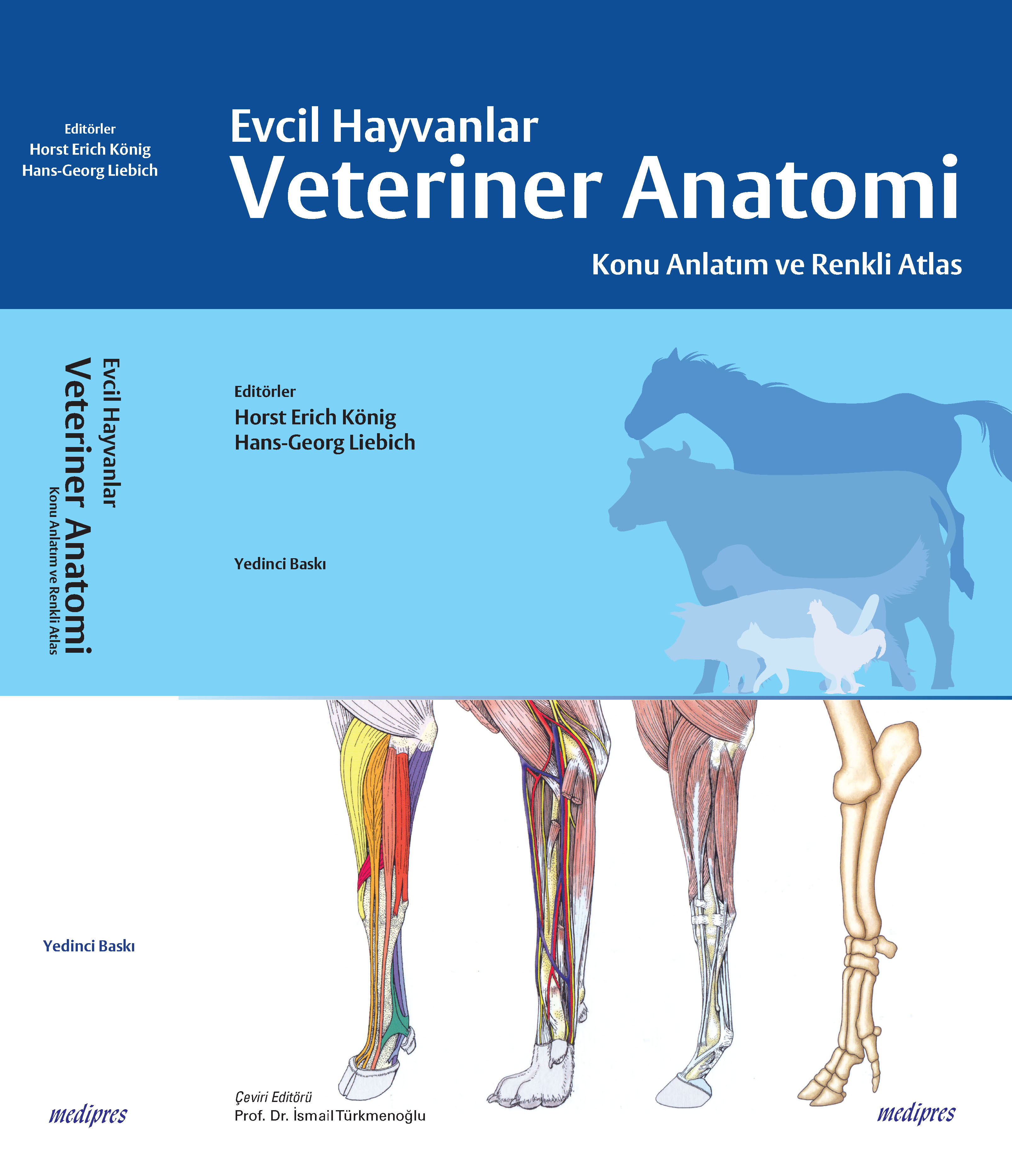 KÖNİNG Veteriner Anatomi