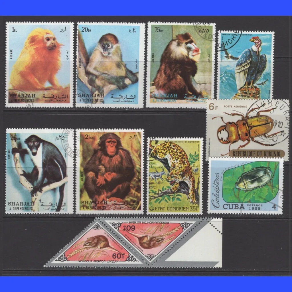 HAYVANLAR-DAMGALI PUL KOLEKSİYONU