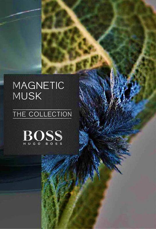 Hugo Boss The Collection Magnetic Musk EDP / Unisex Dekant Parfüm | Ven ...